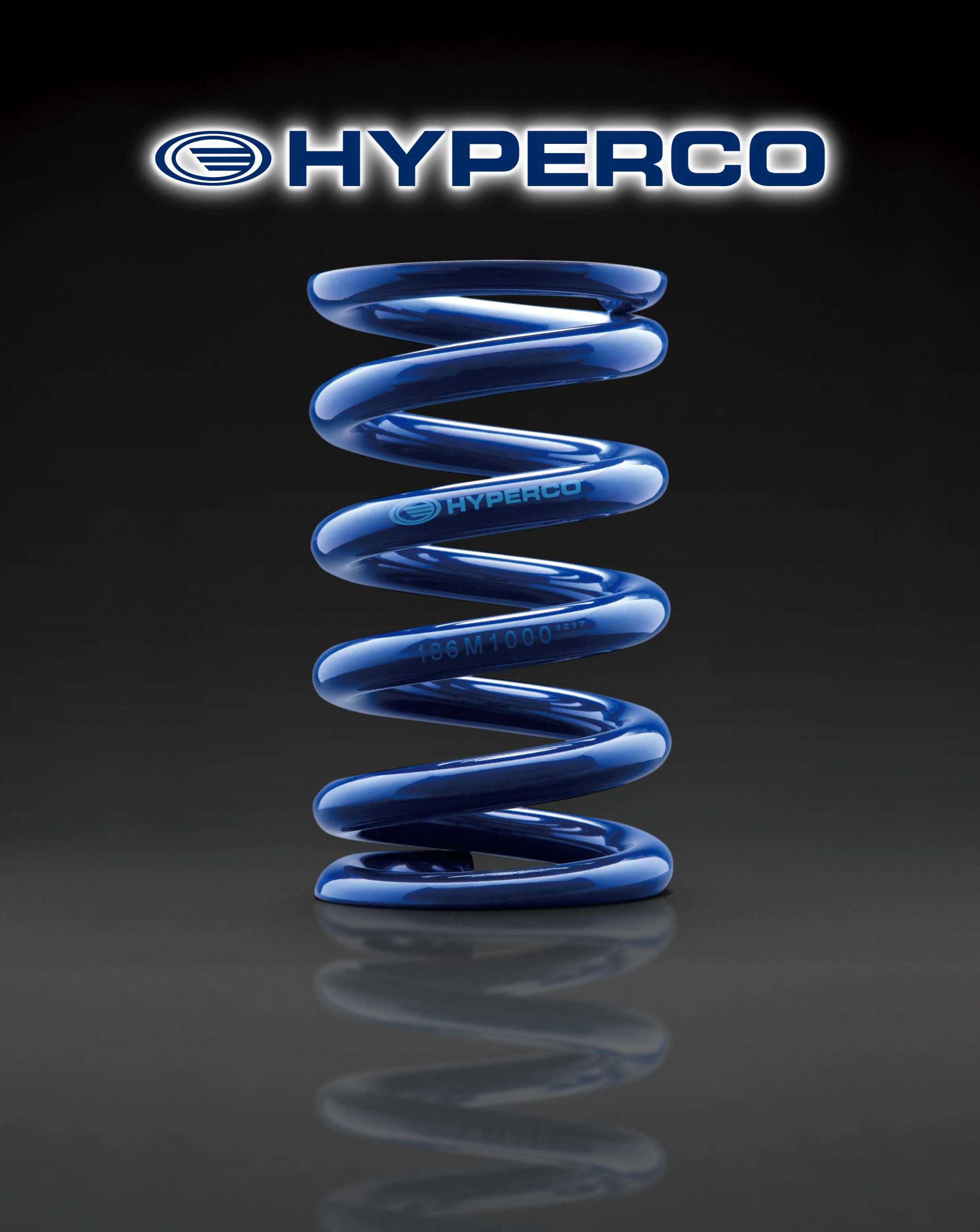 MINORU TANAKA BLOG » HYPERCO